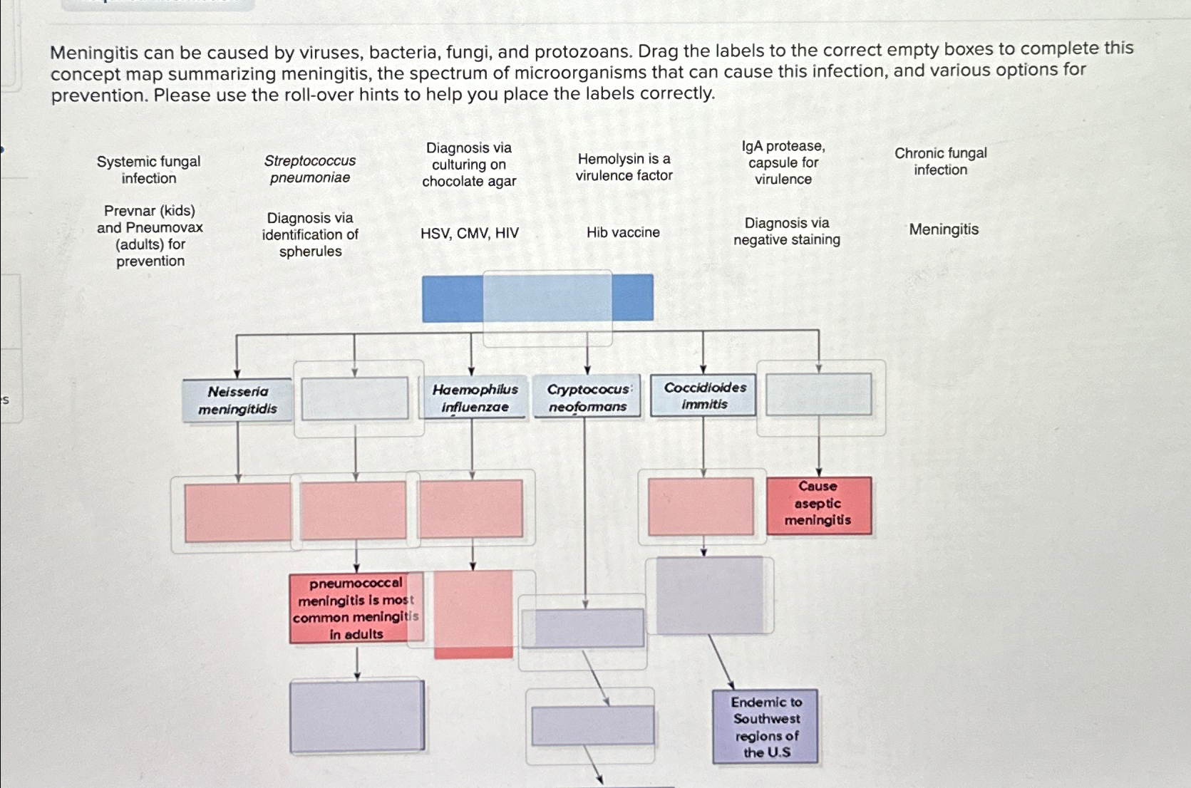 Solved Meningitis can be caused by viruses, bacteria, fungi, | Chegg.com