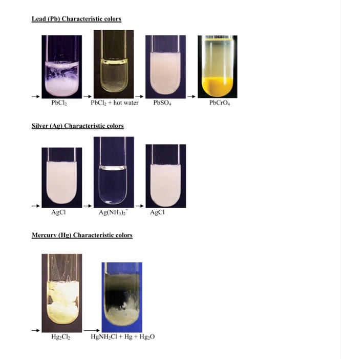 Solved Chem Lab HelpHello, I need help with my chem lab | Chegg.com Solved Chem Lab HelpHello, I need help with my chem lab | Chegg.com
