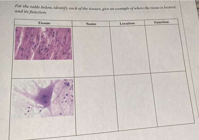 Solved For the table below, identify each of the tissues, | Chegg.com