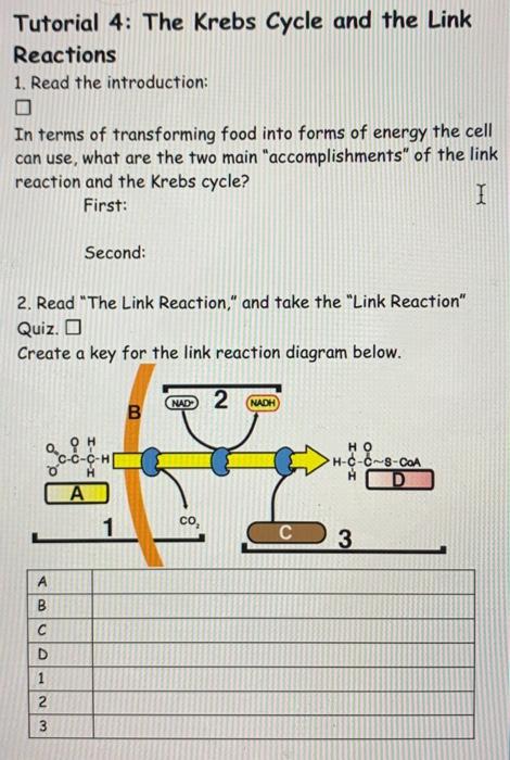 Solved Tutorial 4: The Krebs Cycle and the Link Reactions 1. | Chegg.com
