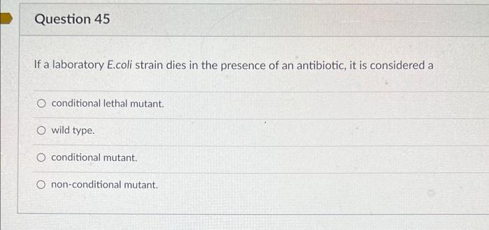 Solved Question 45 If a laboratory E.coli strain dies in the | Chegg.com