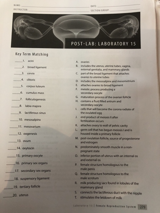 Solved NAME INSTRUCTOR DATE: SECTION/GROUP: POST-LAB: | Chegg.com
