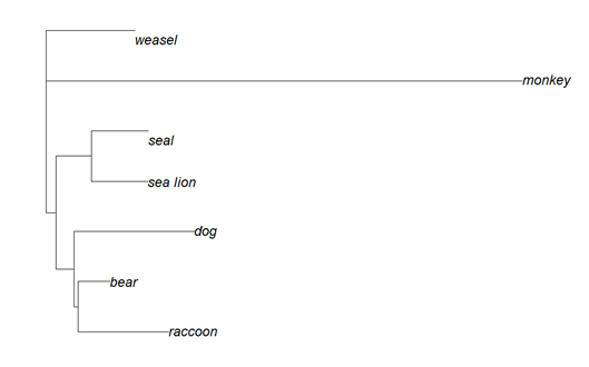 Solved 1. ﻿What is the total branch length between "bear" | Chegg.com
