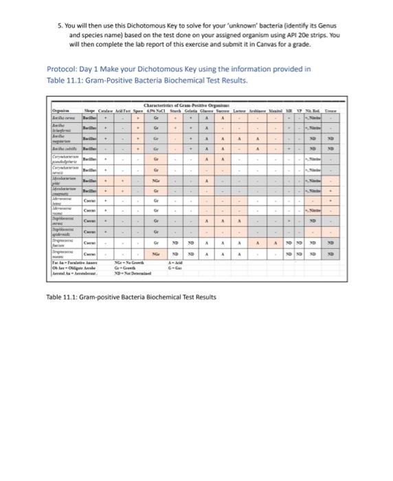 Solved Lab Exercise 11: Making a Dichotomous Key with | Chegg.com
