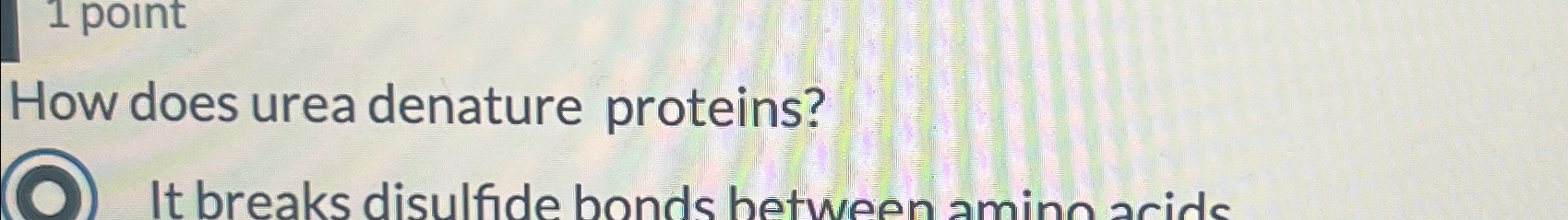Solved 1 ﻿pointHow does urea denature proteins? | Chegg.com