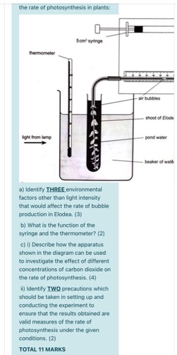 Solved the rate of photosynthesis in plants: un Som syringe | Chegg.com