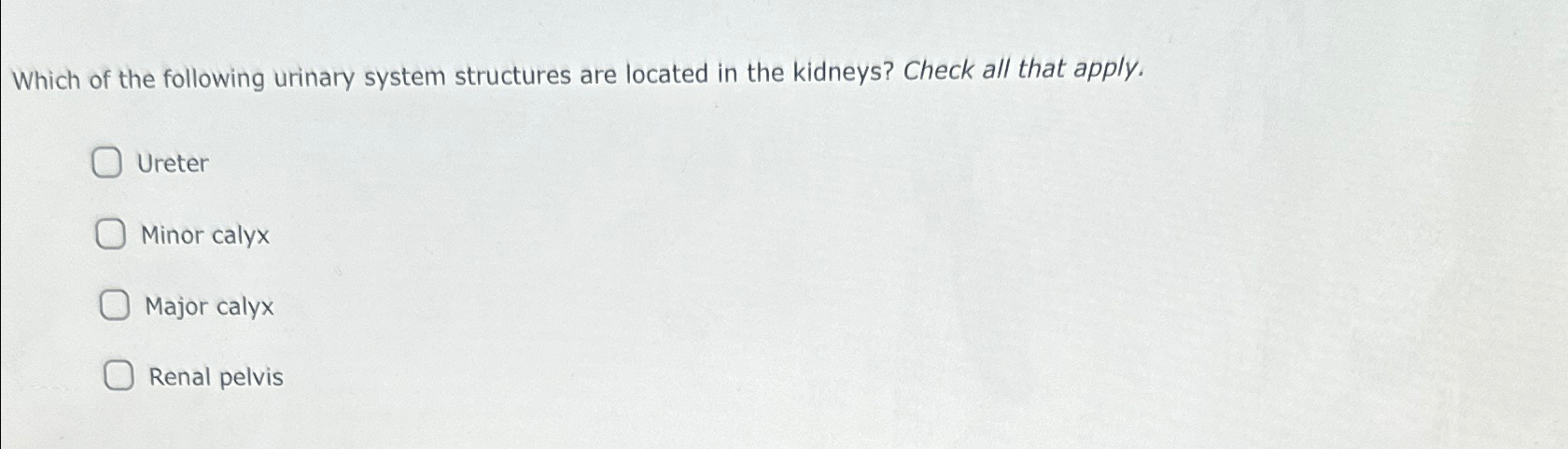 Solved Which of the following urinary system structures are | Chegg.com