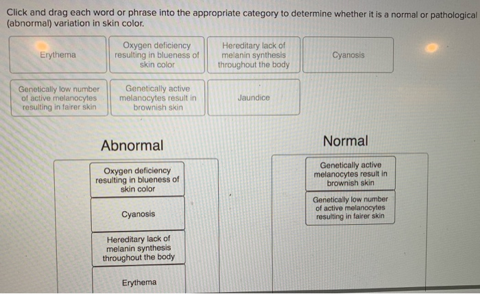 Solved Click and drag each word or phrase into the | Chegg.com