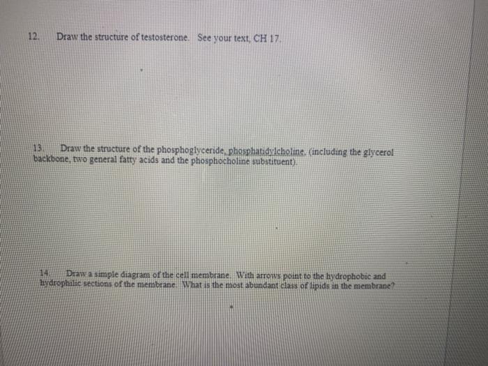 Solved 12. Draw the structure of testosterone. See your | Chegg.com