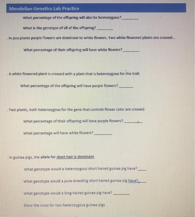 Solved Mendelian Genetics Lab Practice Meiosis Diagram MEDI | Chegg.com