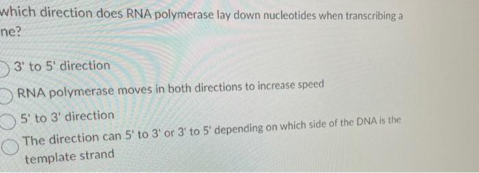 Solved which direction does RNA polymerase lay down | Chegg.com