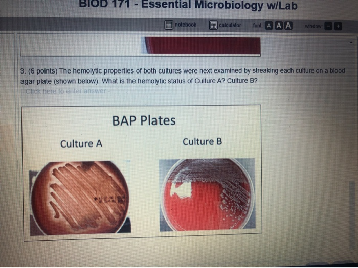 Solved Essential Microbiology w/Lab BIOD 171 font: A AA | Chegg.com