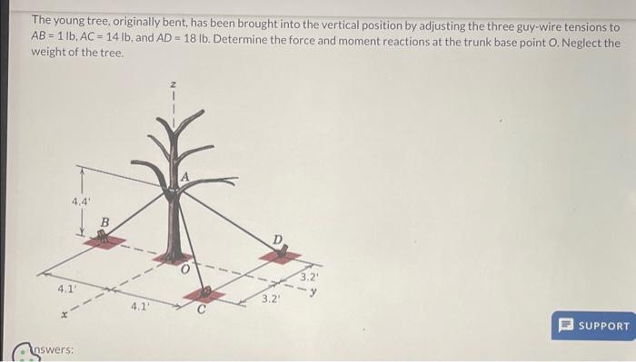 Solved The young tree, originally bent, has been brought | Chegg.com