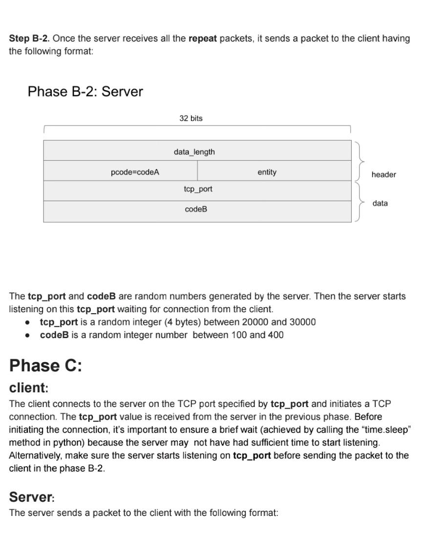 Solved Phase A Client: The client sends a single UDP packet | Chegg.com
