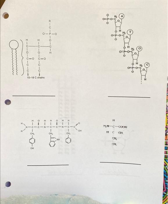 Solved Identify each of the following structures or | Chegg.com