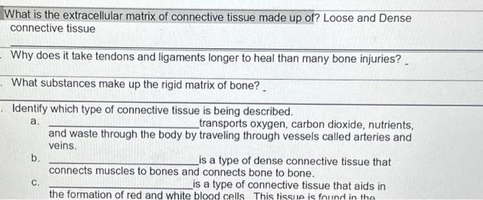 Solved What is the extracellular matrix of connective tissue | Chegg.com