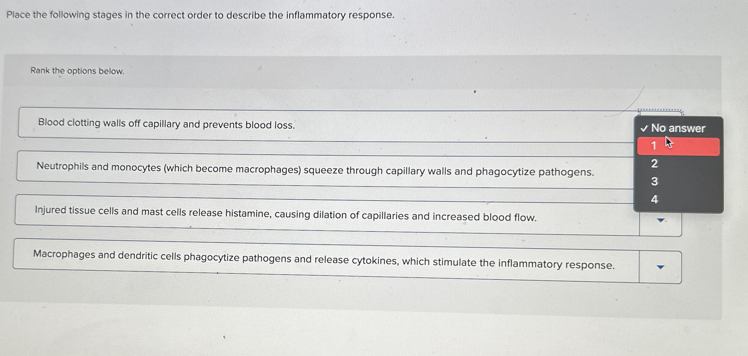 Solved Place the following stages in the correct order to | Chegg.com