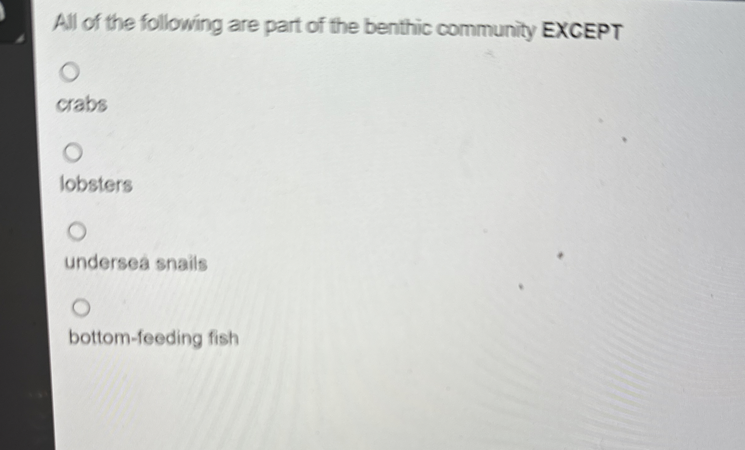 Solved All of the following are part of the benthic | Chegg.com
