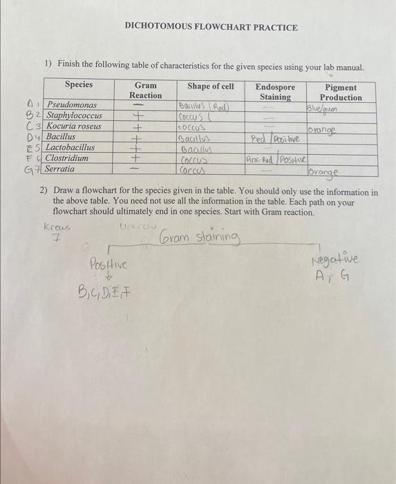 Solved DICHOTOMOUS FLOWCHART PRACTICE 1) Finish the | Chegg.com