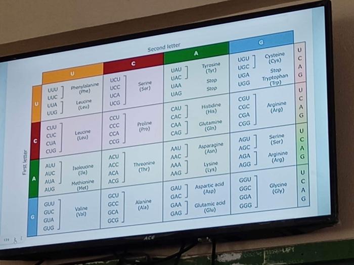 Solved Matorials: Genetic Codo Table sheets | Chegg.com