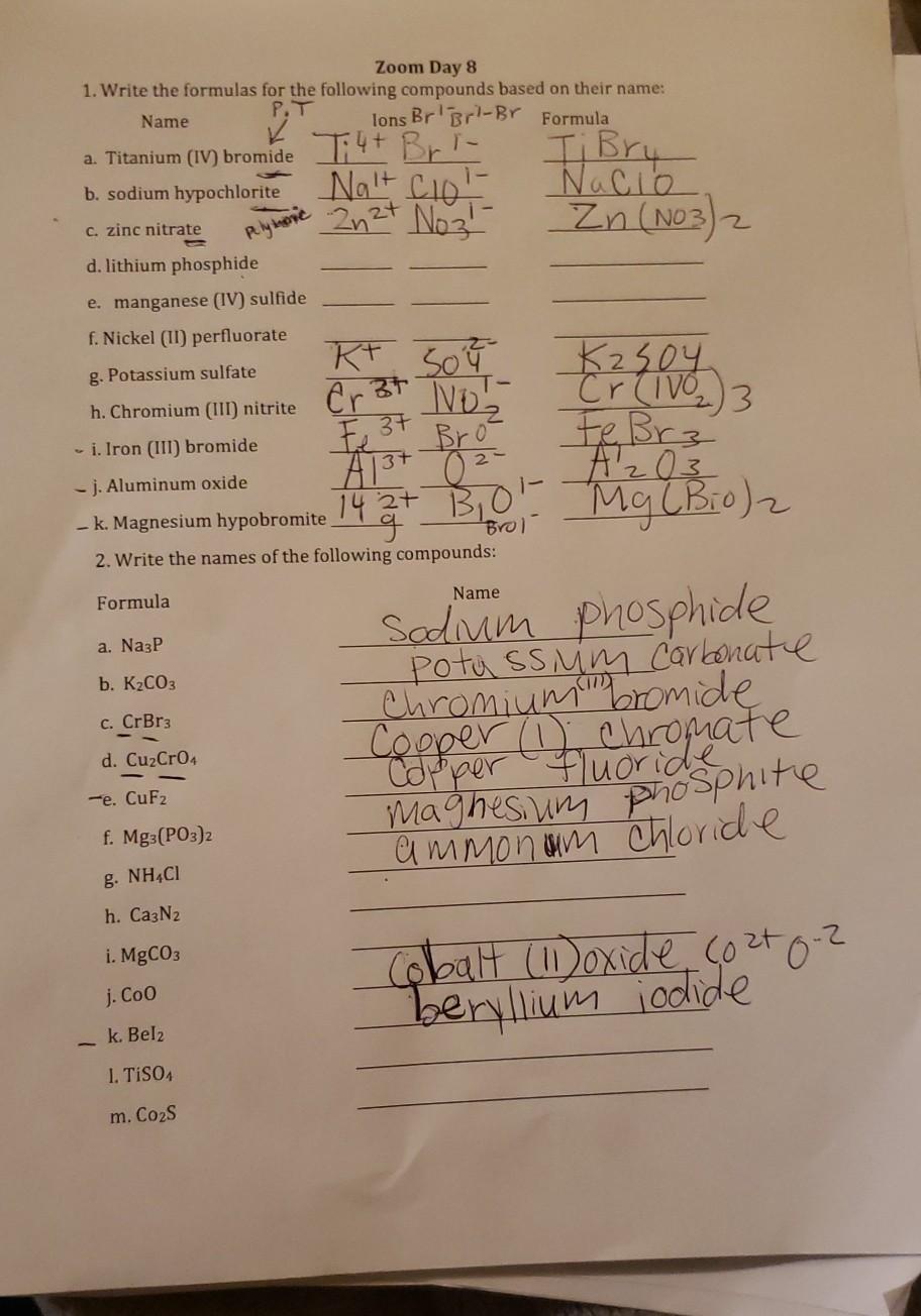 Solved c. zinc nitrate pely nove Zn2+ No3 Zoom Day 8 1. | Chegg.com
