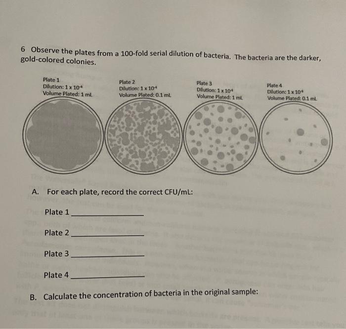 6 Observe the plates from a 100-fold serial dilution | Chegg.com