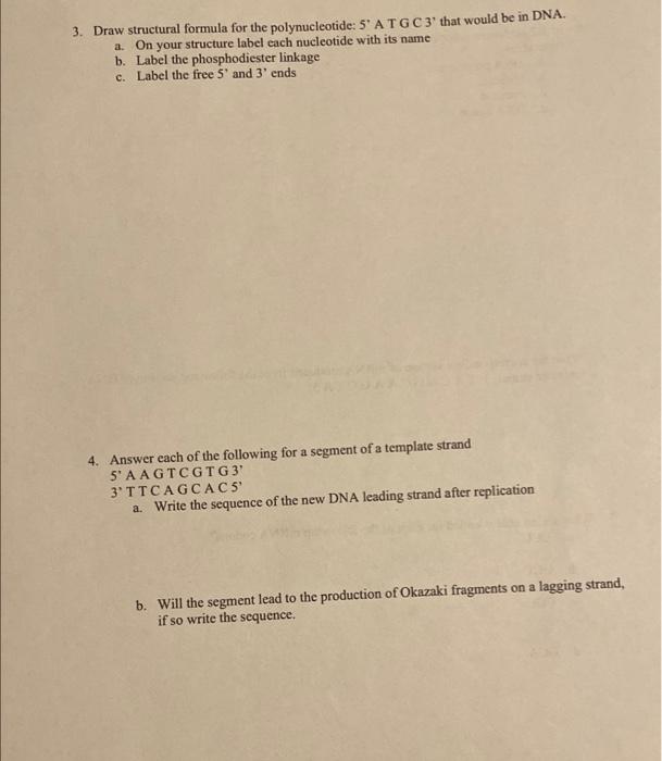 Solved 3. Draw structural formula for the polynucleotide: | Chegg.com