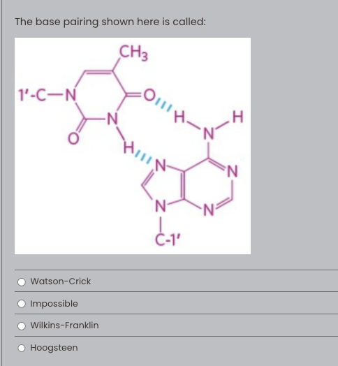 Solved The base pairing shown here is called:Watson-Crick | Chegg.com