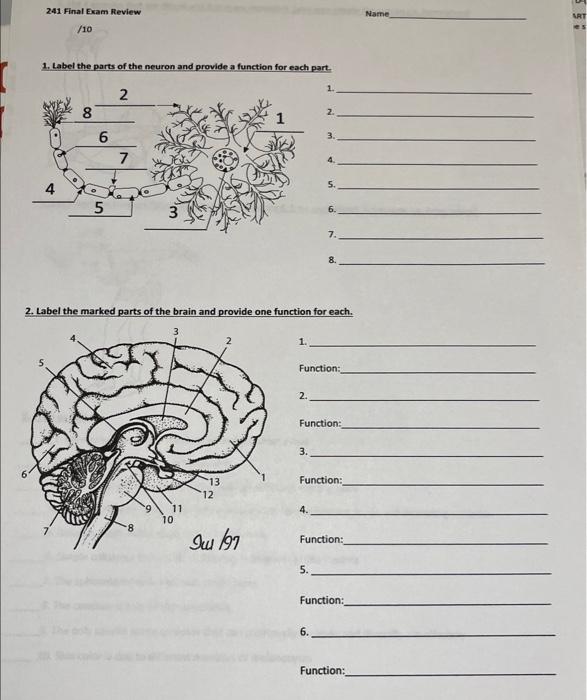 Solved 241 Final Exam Review Name 1. Label the parts of the | Chegg.com
