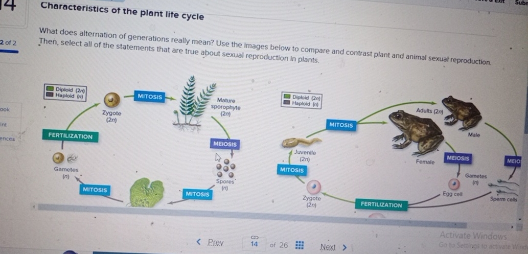 Solved 14Characteristics of the plant lite cycleWhat does | Chegg.com