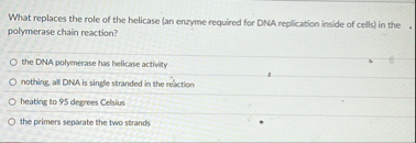 Solved What replaces the role of the helicase (an enzyme | Chegg.com