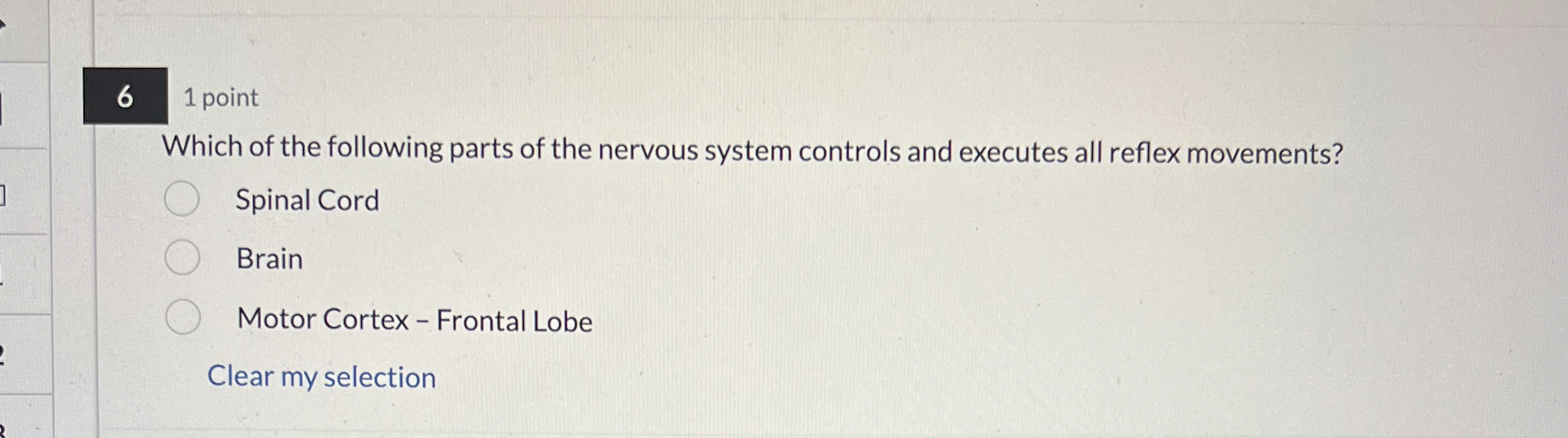 Solved 61 ﻿pointWhich of the following parts of the nervous | Chegg.com