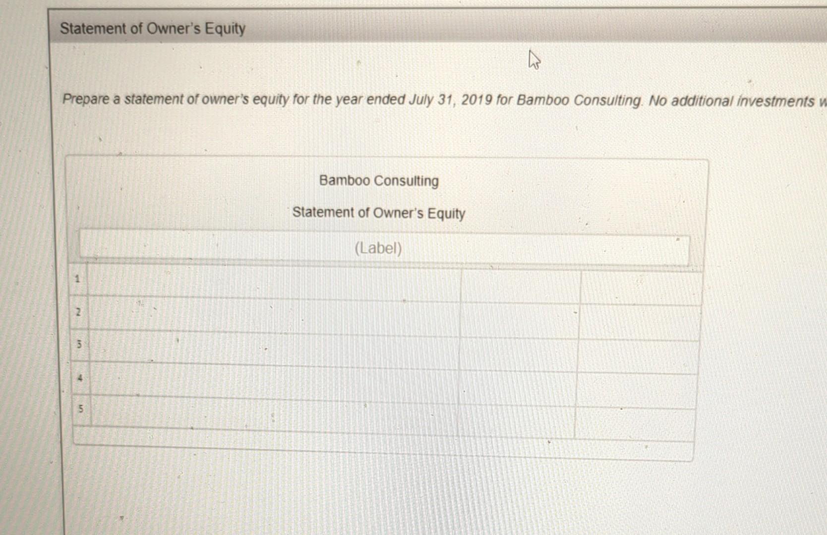 Solved Bamboo Consulting is a consulting firm owned and | Chegg.com