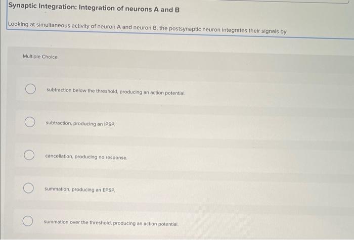Required information Synaptic Integration Synaptic | Chegg.com
