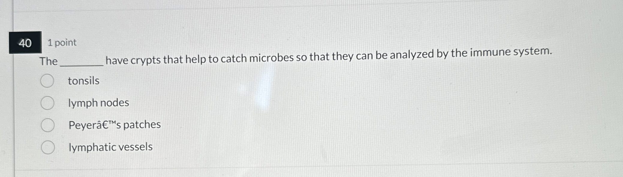 Solved 401 ﻿pointThe ﻿have crypts that help to catch | Chegg.com