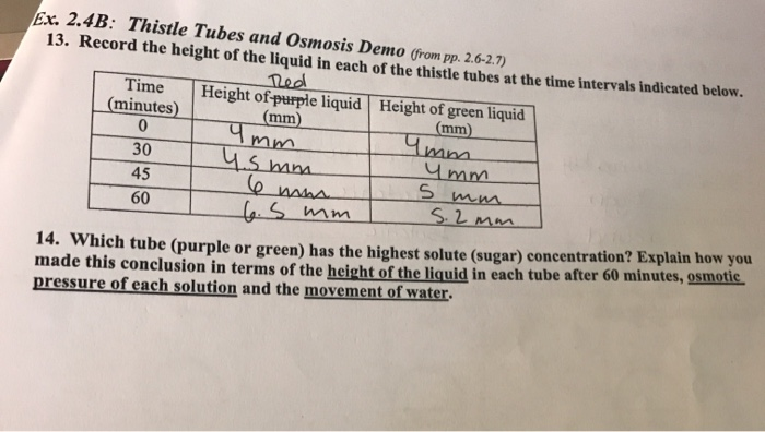 Solved Ex. 2.4B: Thistle Tubes and Osmosis Demo (from pp. | Chegg.com