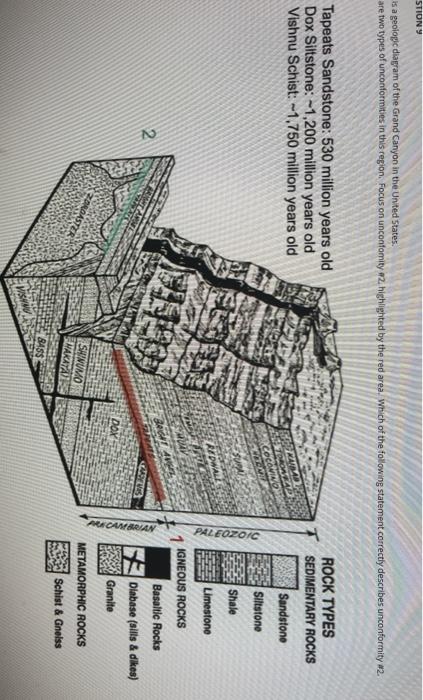 Solved STION Y is a geologic diagram of the Grand Canyon in | Chegg.com