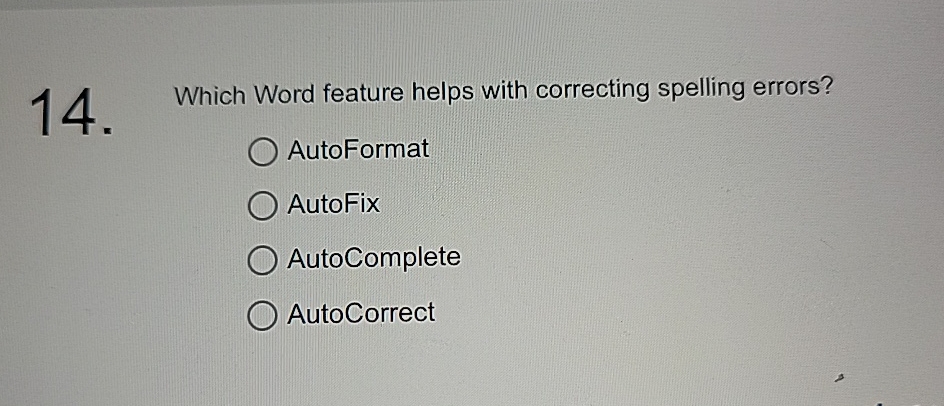 Solved Which Word feature helps with correcting spelling | Chegg.com