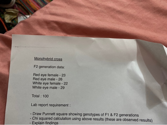Solved Monohybrid cross F2 generation data: Red eye female - | Chegg.com