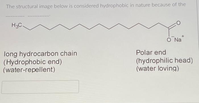 Solved The structural image below is considered hydrophobic | Chegg.com