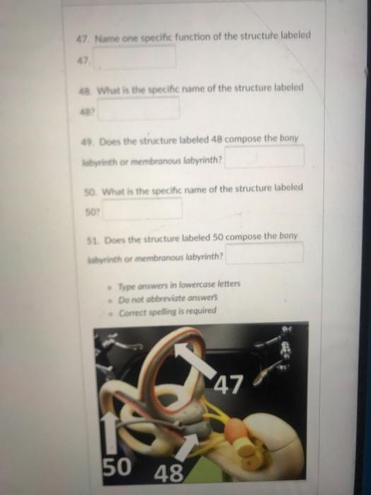 Solved 47. Name one specific function of the structure | Chegg.com