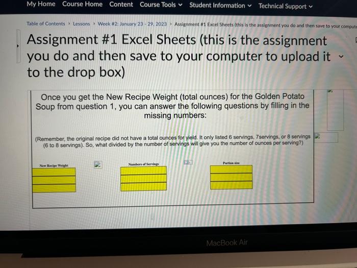 Solved Assignment \#1 Excel Sheets (this is the assignment | Chegg.com