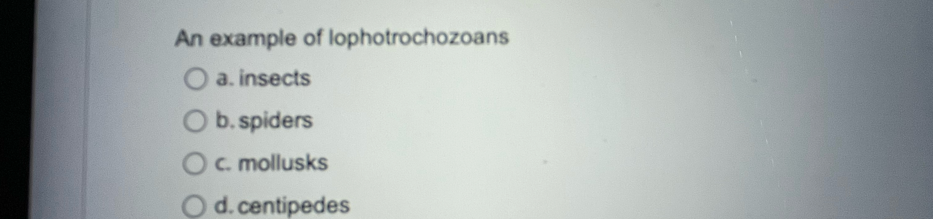Solved An example of lophotrochozoansa. ﻿insectsb. | Chegg.com