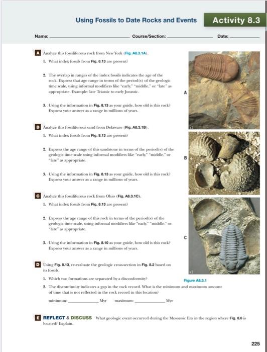 Solved Using Fossils to Date Rocks and Events Activity 8.3 | Chegg.com