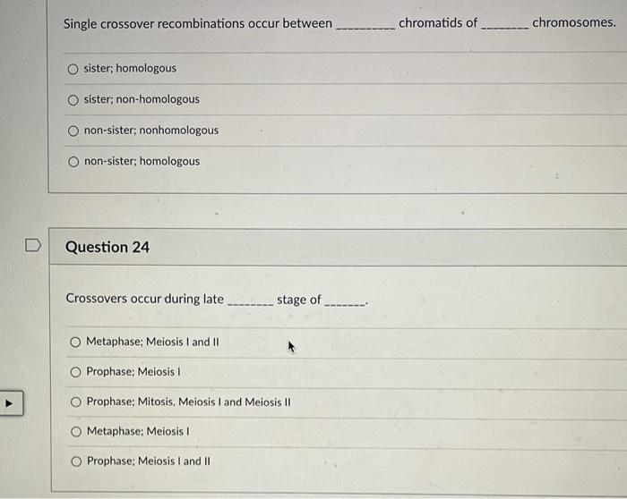 Solved Single crossover recombinations occur between | Chegg.com
