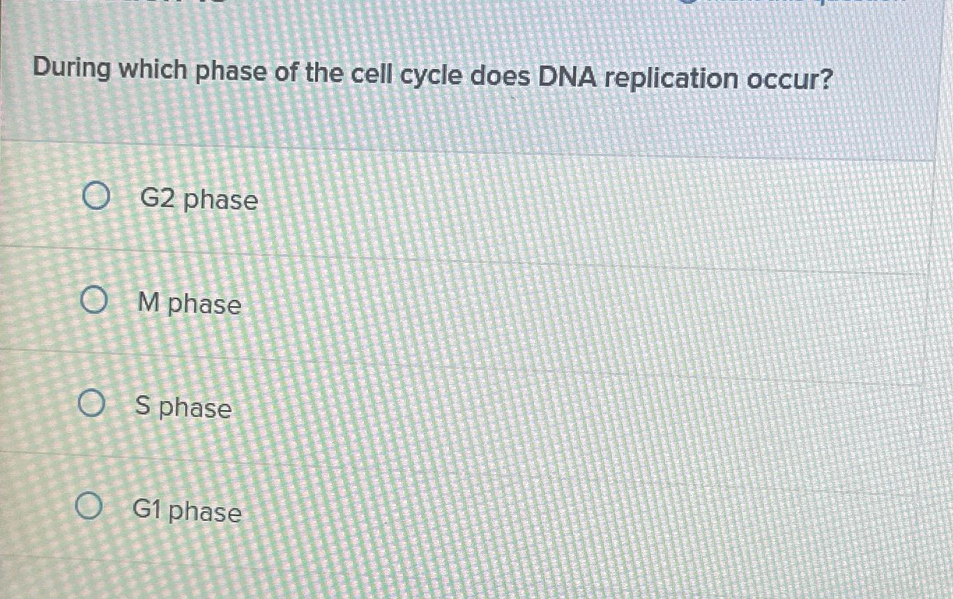 Solved During which phase of the cell cycle does DNA | Chegg.com