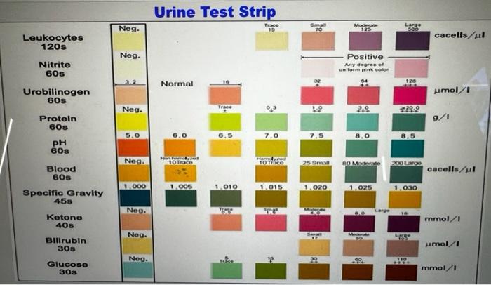 Solved Urine Test Strip The A corresponds to the indicated | Chegg.com
