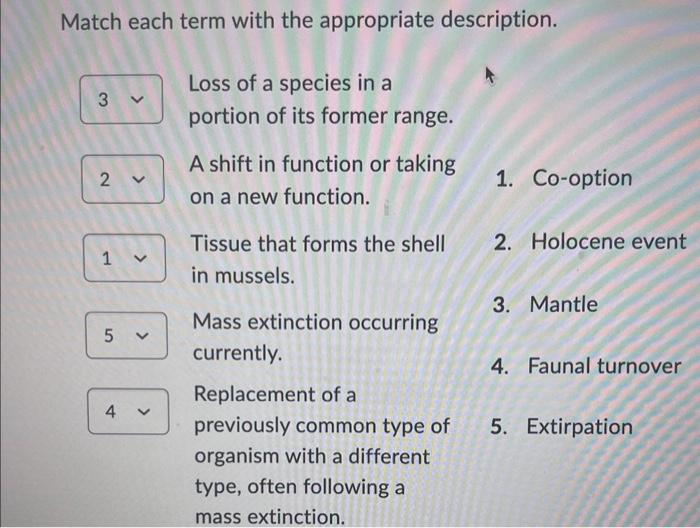 Solved Match each term with the appropriate description. | Chegg.com