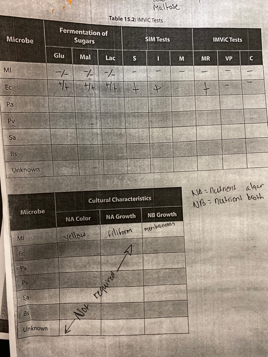 Maltose Table 15.2: IMVIC Tests Fermentation of | Chegg.com