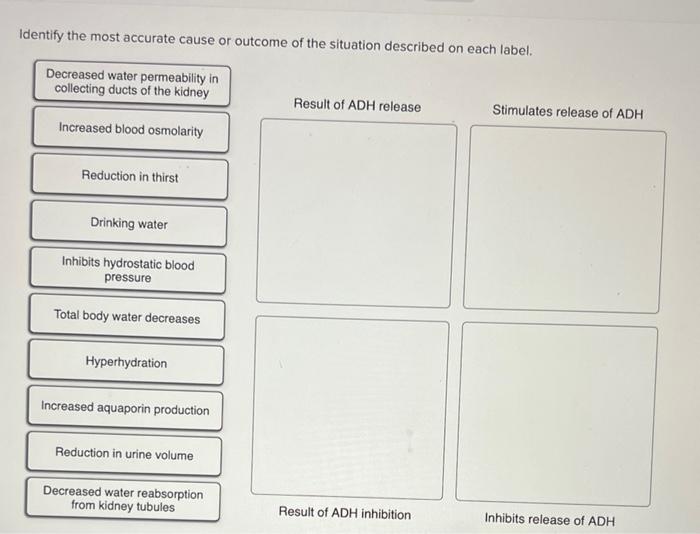 Solved Identify the most accurate cause or outcoma nf tha | Chegg.com